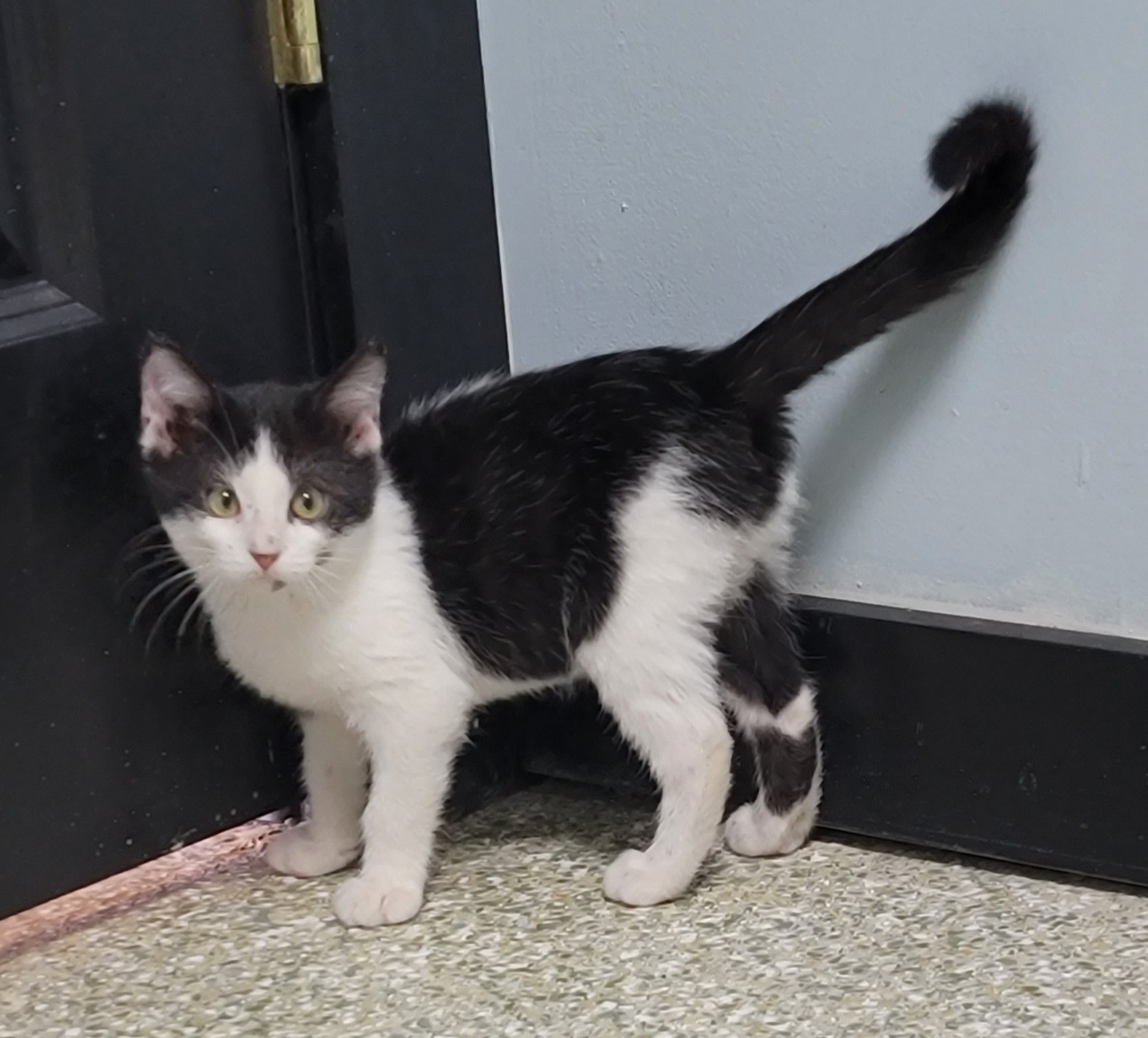 Amanda | Beams Corner